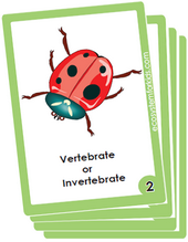 3rd grade science flash cards pdf printable sheets