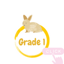 Guide to Mastering Mathsspot Roblox